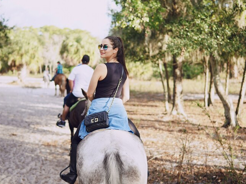 Roatan Beach Horseback Riding Adventure - JB Island Tours